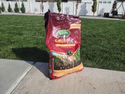 When To Apply GrubEx in Massachusetts - TipsforTurf