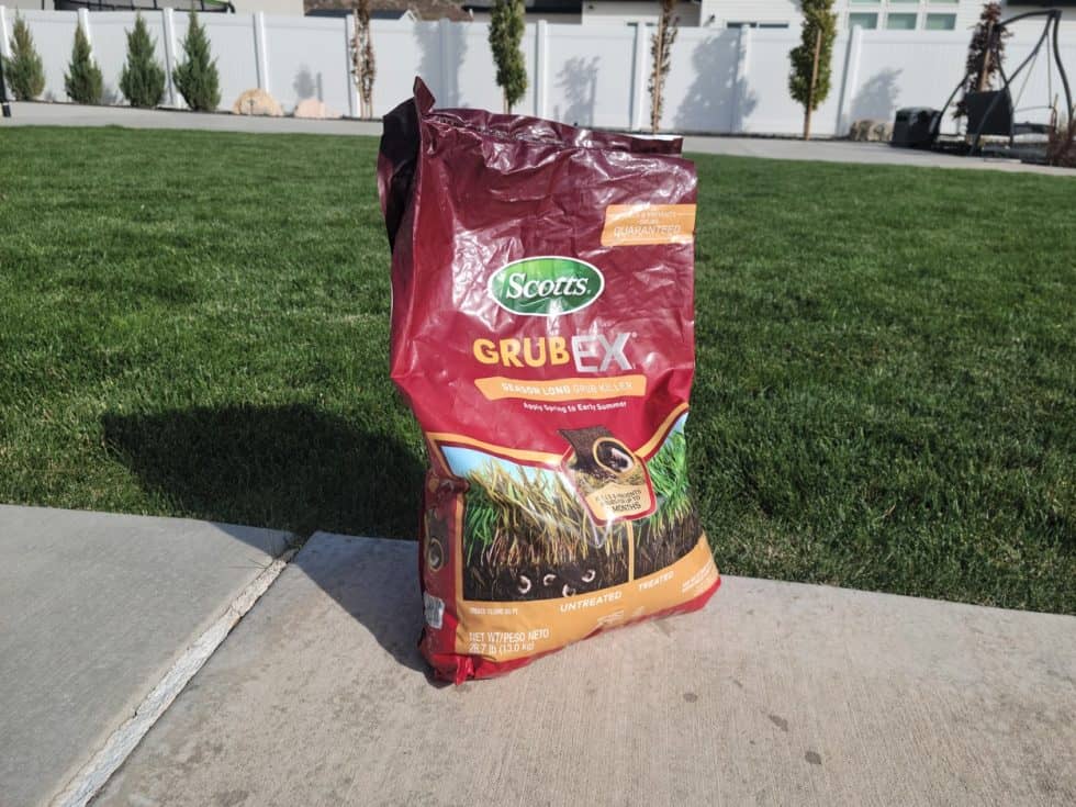 When To Apply GrubEx in Massachusetts - TipsforTurf