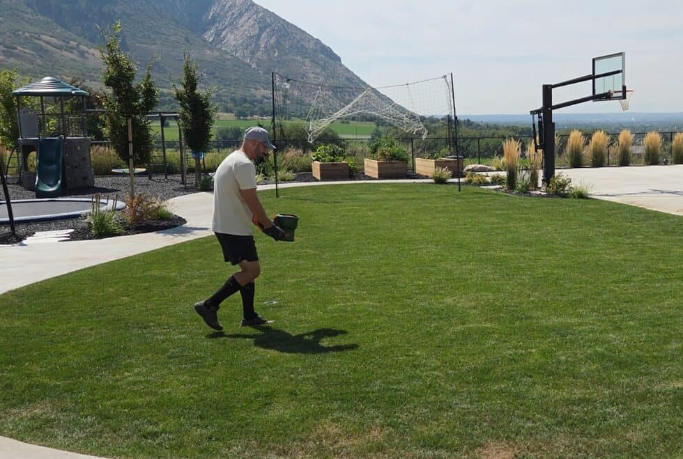 Complete Fall Overseeding Guide: Transform Your Lawn in a Week! - TipsforTurf