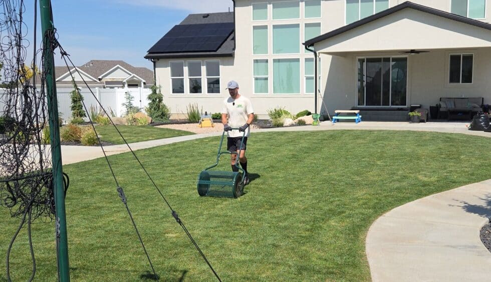 Complete Fall Overseeding Guide: Transform Your Lawn in a Week ...